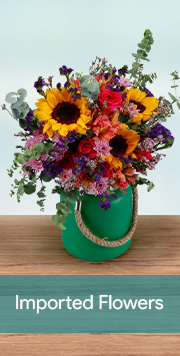 Flower Delivery Online | India's No.1 Trusted Gifting Store - FNP
