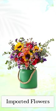 Which Flowers Are Popular In The USA - Ferns N Petals