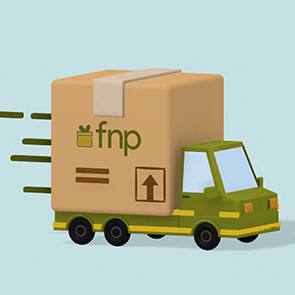 FNP: India's #1 Online Gift Store | Flowers, Cakes, Gift Hampers etc.