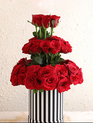 FNP: India's #1 Online Gift Store | Flowers, Cakes, Gift Hampers etc.