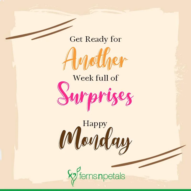 100+ Good Morning Monday Images & Quotes - FNP