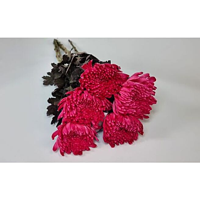 Delightful Raspberry Disbuds Bouquet australia | Gift Delightful ...