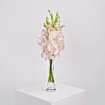 Simple Grace australia | Gift Simple Grace- FNP