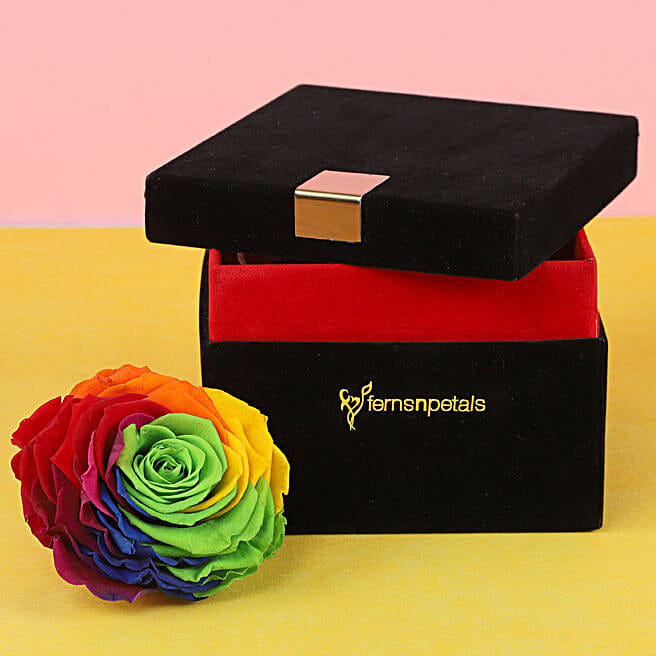 Forever Rainbow Rose in Black Velvet Box Big bahrain | Gift Forever ...