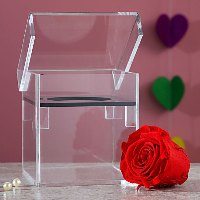 Magnificent Red Forever Rose In Acrylic Box bahrain | Gift Magnificent ...