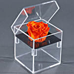 Orange Forever Rose Enclosed In Acrylic Box bangladesh | Gift Orange ...