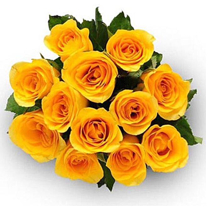 12 Yellow Roses canada | Gift 12 Yellow Roses- FNP