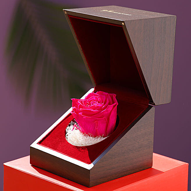 Bright Pink Forever Rose In Wooden Box canada | Gift Bright Pink ...