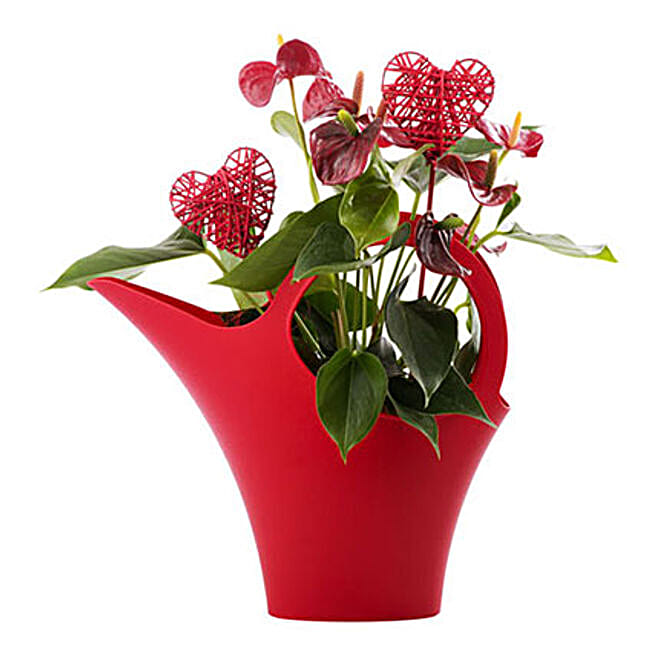 Flower Pot Love Gift france | Gift Flower Pot Love Gift- FNP