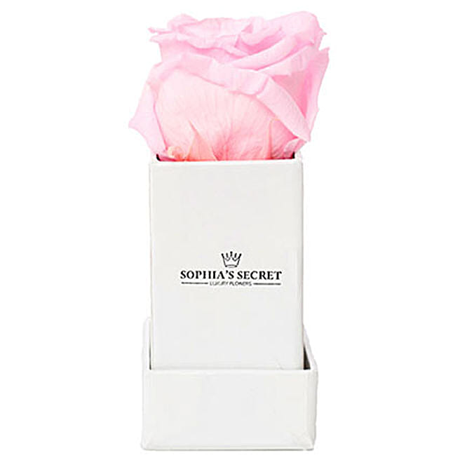 Pink Love Rose In A Box germany | Gift Pink Love Rose In A Box- FNP