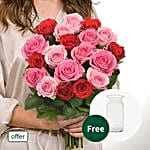 Simply Pink germany | Gift Simply Pink- FNP