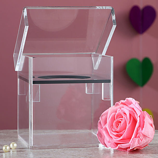 Acrylic Box Of Pink Forever Rose ireland | Gift Acrylic Box Of Pink ...