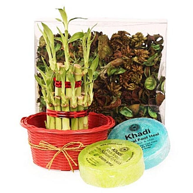 Buy/Send Refreshing Lucky Hamper Online- FNP