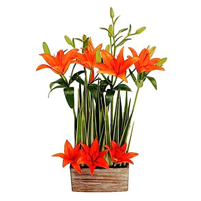 Buy/Send Step lily Online- FNP