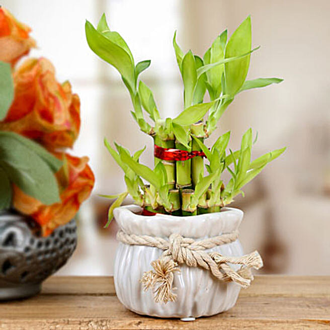 Buy/Send Symbol of Graciousness Online- Ferns N Petals