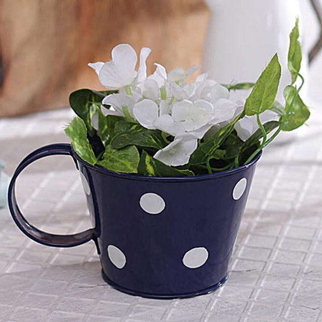 Buy/Send Blue Polka Planter Online- FNP