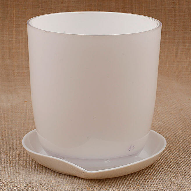 Buy/Send Melamine Cup & Saucer Vase White Online- FNP