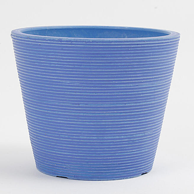 Buy/Send Mini Conical Recycled Plastic Vase Blue Online- FNP
