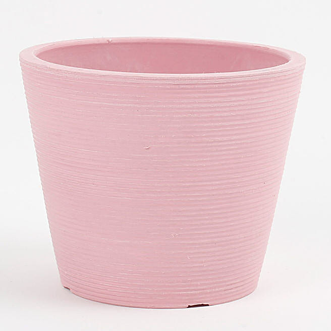 Buy/Send Mini Conical Recycled Plastic Vase Pink Online- FNP