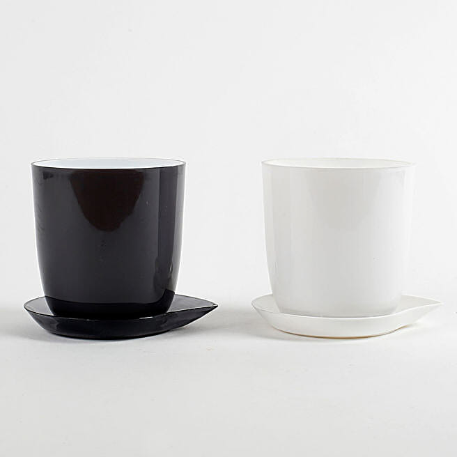 Buy/Send Melamine Cup & Saucer Vase Set Black & White Online- FNP