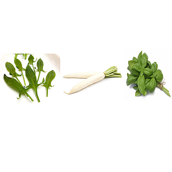 Buy/Send Sorrel Radish & Basil Seeds Combo Online- FNP