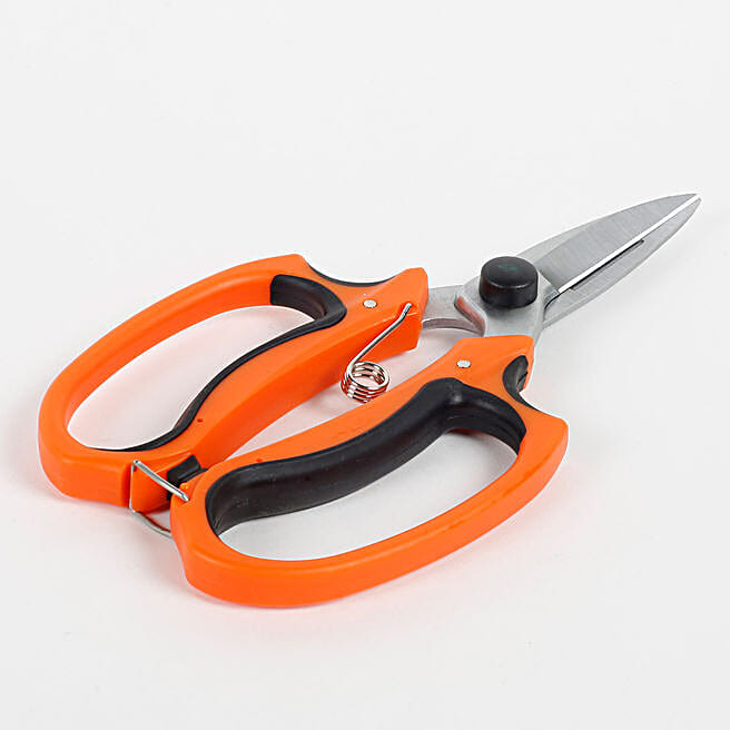 Buy/Send Bonsai Cutter Online- FNP