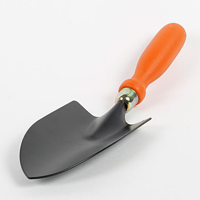 Buy/Send Hand Digging Steel Trowel Online- FNP