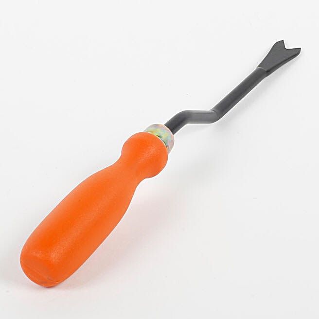 Buy/Send Steel Hand Weeder With Plastic Handle Online- FNP