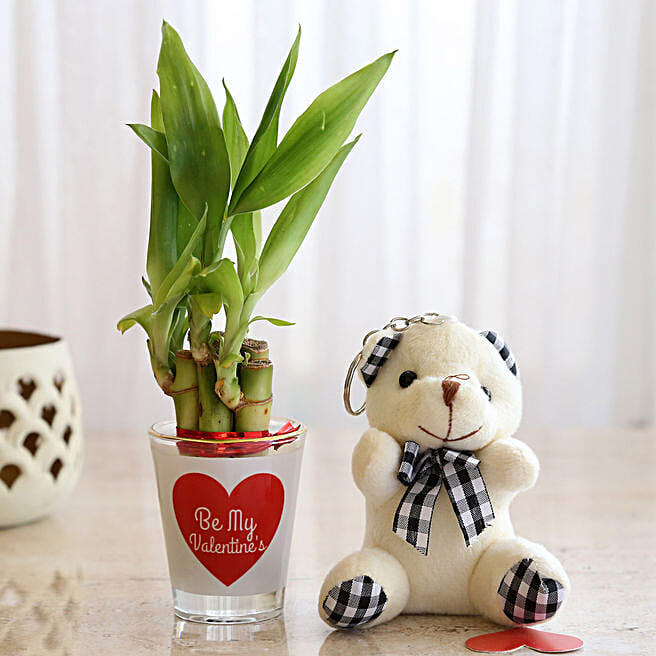 Buy/Send Combo Of Lucky Bamboo & Teddy Bear Online- FNP