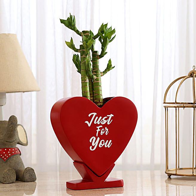 Buy/Send Cut Leaf Bamboo In Heart Shaped Pot Online- FNP