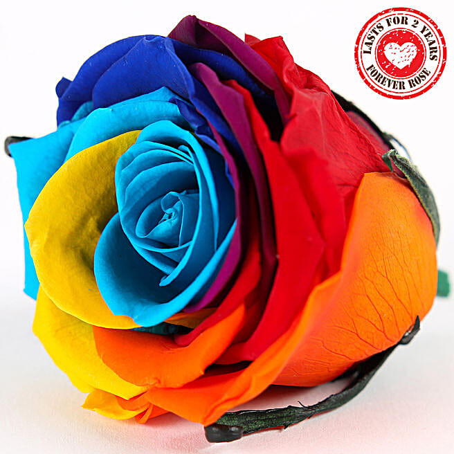 Buy/Send Forever Rainbow Rose in Black Velvet Box Online- Ferns N Petals