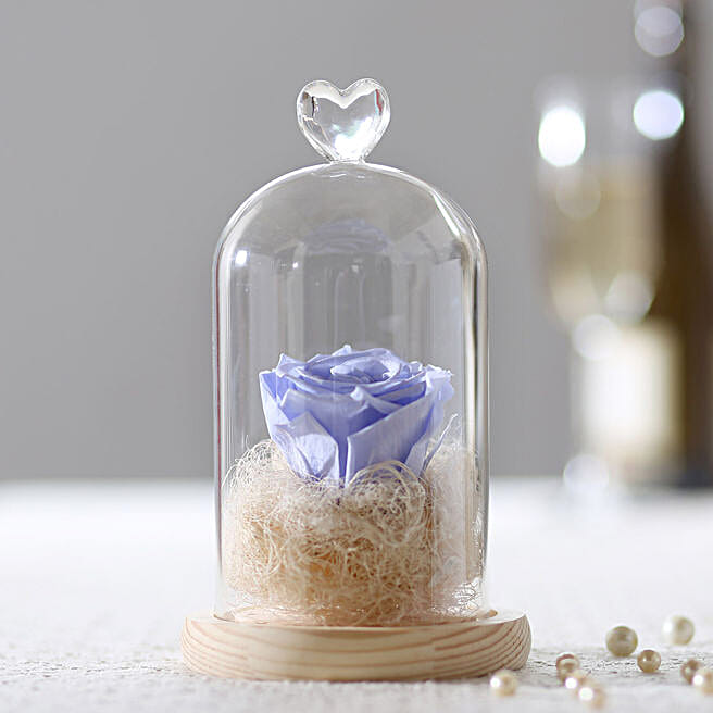 Buy/Send Forever Lavender Blue Rose In Glass Dome Online- FNP