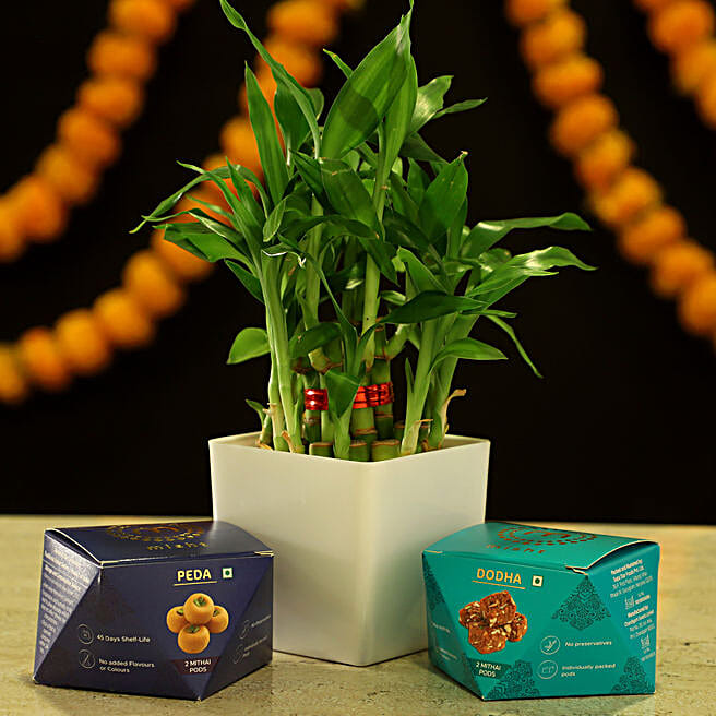 Buy/Send Two Layer Bamboo & Sweets Online- FNP