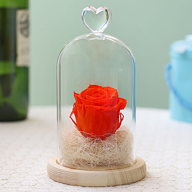 Buy/Send Forever Orange Flame Rose in Glass Dome Online- FNP