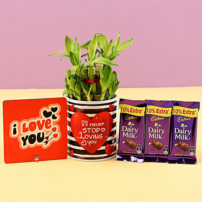 Buy/Send 2 Layer Lucky Bamboo & Chocolates Combo Online- FNP