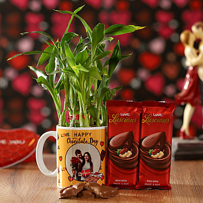 Buy/Send 2 Layer Bamboo Plant With Fruit & Nut Chocolates Online- FNP