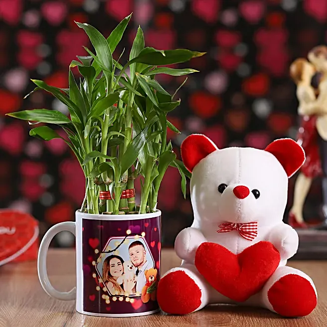 Buy/Send 2 Layer Lucky Bamboo Plant & Teddy Bear Online- FNP