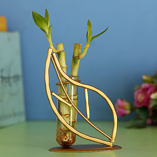 Buy/Send Bamboo Sticks In Leaf Frame Online- FNP