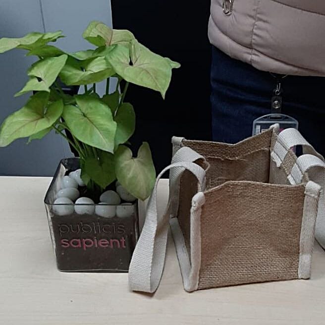 Buy/Send Sapient Syngonium Plant in 4" Square Glass Vase and Jute Bag ...