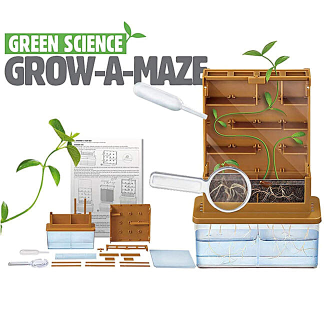 Buy/Send DIY Learning Grow A Plant Kit for Kids Online- FNP