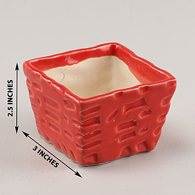 Buy/Send Red Square Ceramic Planter Online- FNP