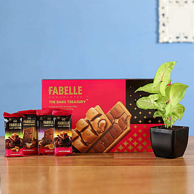 Buy/Send Combo of Fabelle Bars Treasury Syngonium Plant Online- FNP