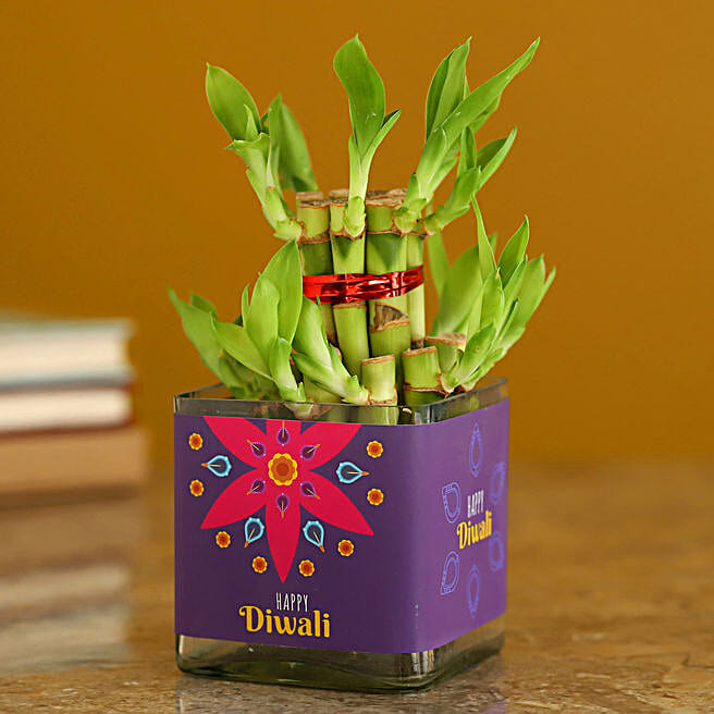 Buy/Send Diwali Special 2 Layer Lucky Bamboo in Glass Vase Online- FNP
