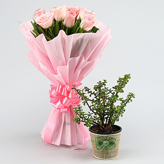 Buy/Send Jade Plant & Pink Rose Bouquet Online- Ferns N Petals