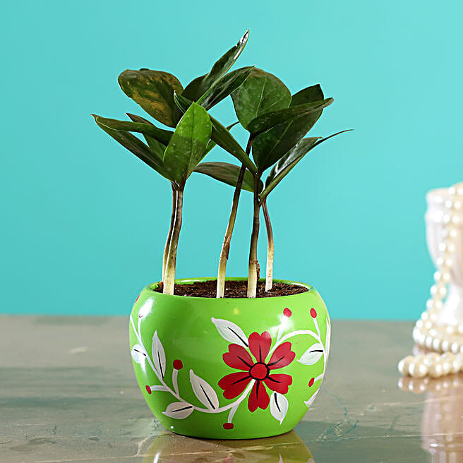 Buy/Send Zamia Plant In Green Hand Painted Pot Online- FNP