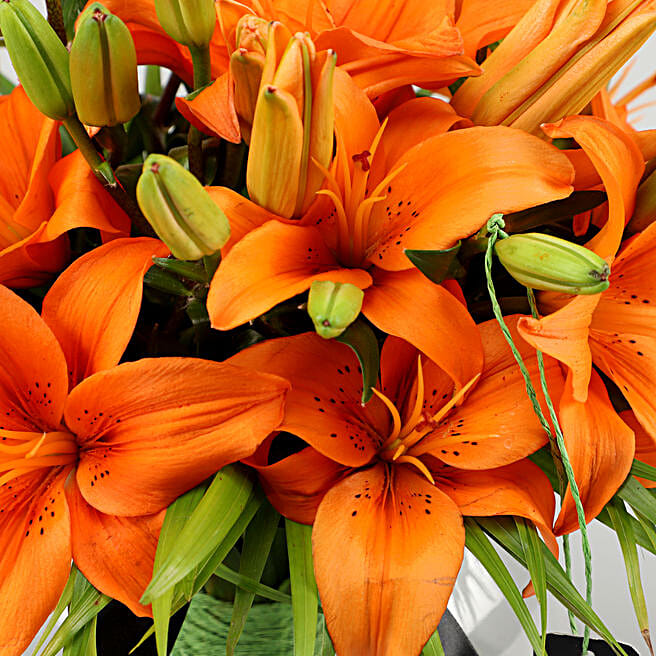 Buy/Send Blissful Orange Lilies In Fishbowl Vase Online- Ferns N Petals