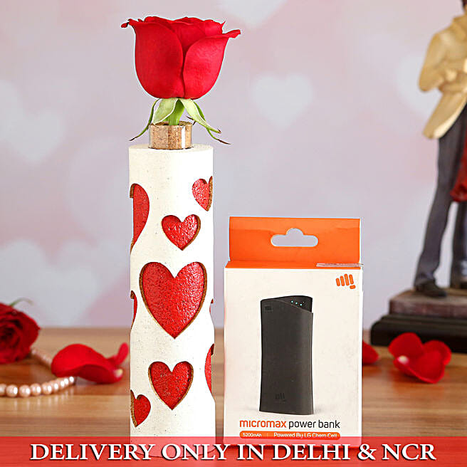 Buy/Send The Hearty Rose Tube & Power Bank Online- FNP