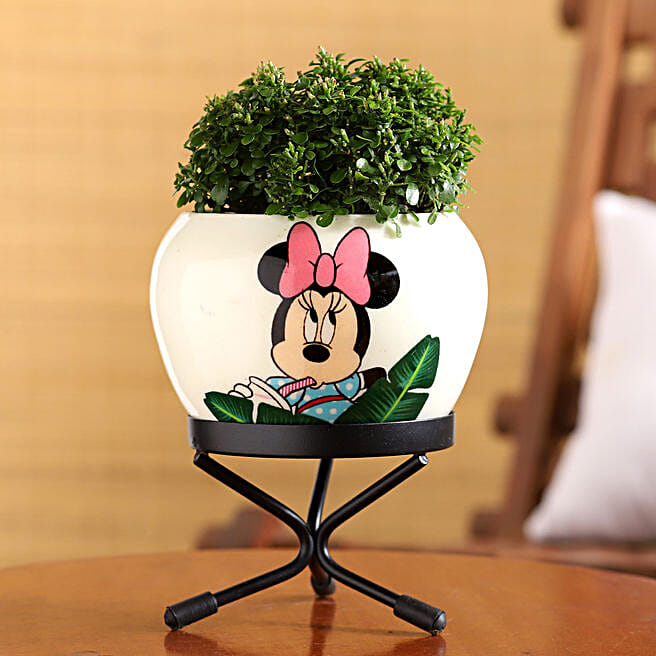 Buy/Send Table Kamini Plant In Mini Mouse Pot With Stand Online- FNP