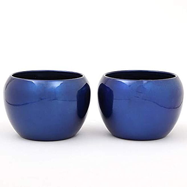 Buy/Send set of 2 tpr blue metal pot Online- FNP