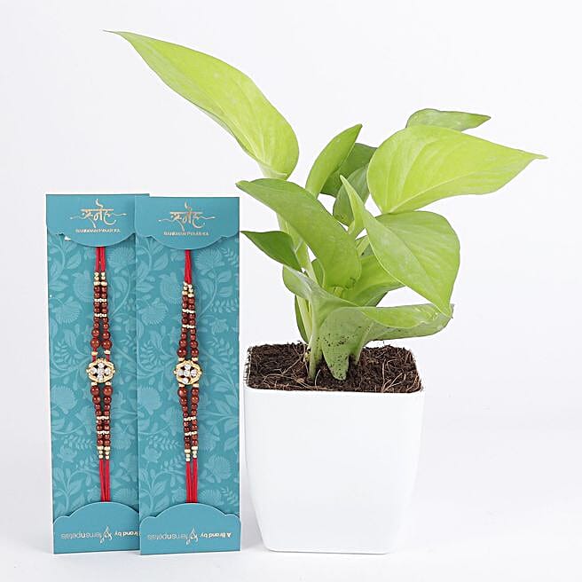 Buy/Send beautiful pearl rakhi n plant mp1408 Online- FNP